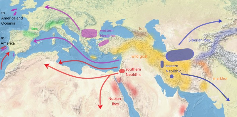 When Were Goats Domesticated, and Where? - Goat Journal